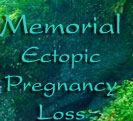 Memorial for an Ectopic Pregnancy - VirusHead